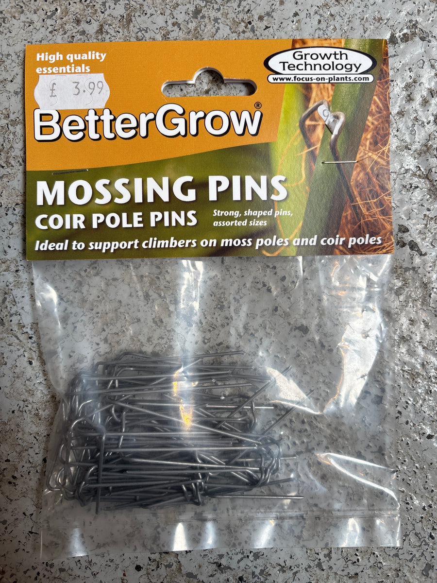 Mossing Pins – Lay of the Land Ltd