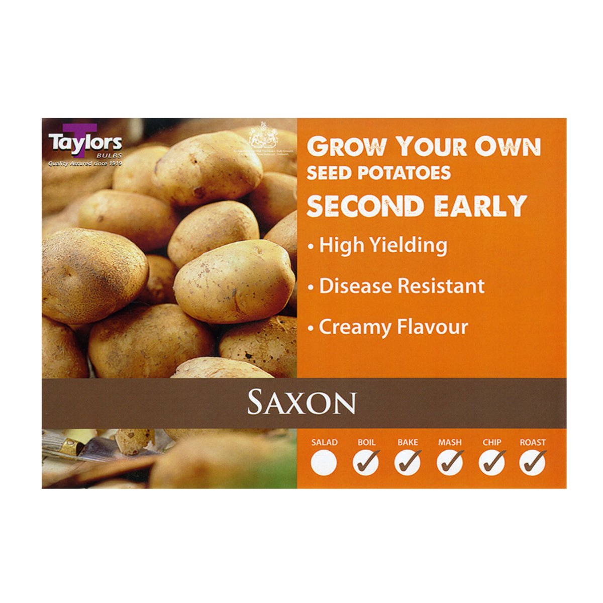 Carrypack Seed Potatoes - Saxon – Lay of the Land Ltd