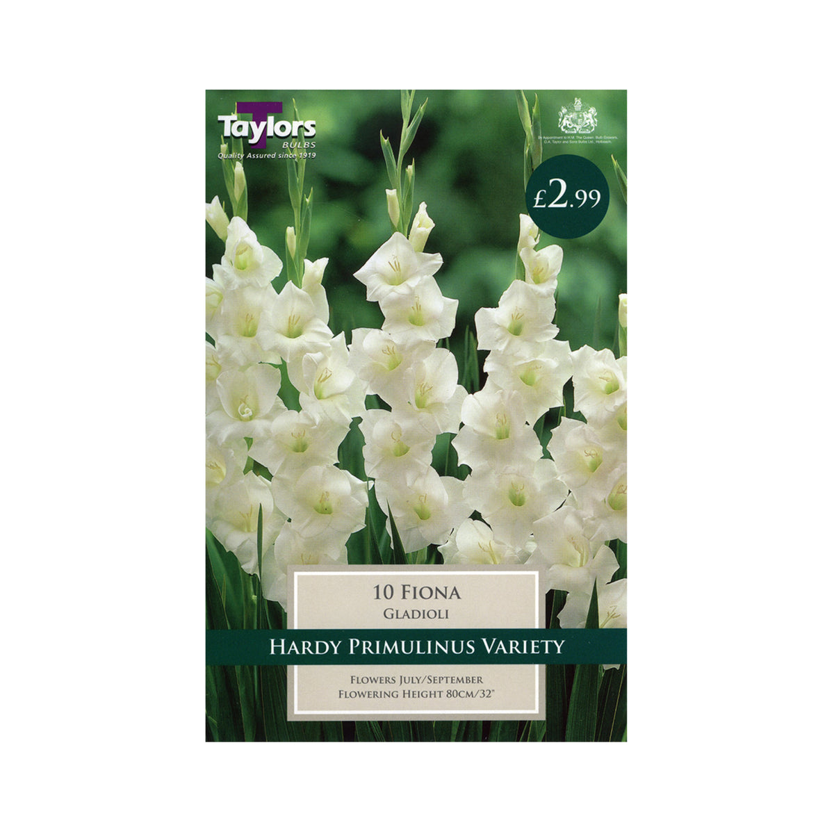 Gladioli Fiona – Lay of the Land Ltd