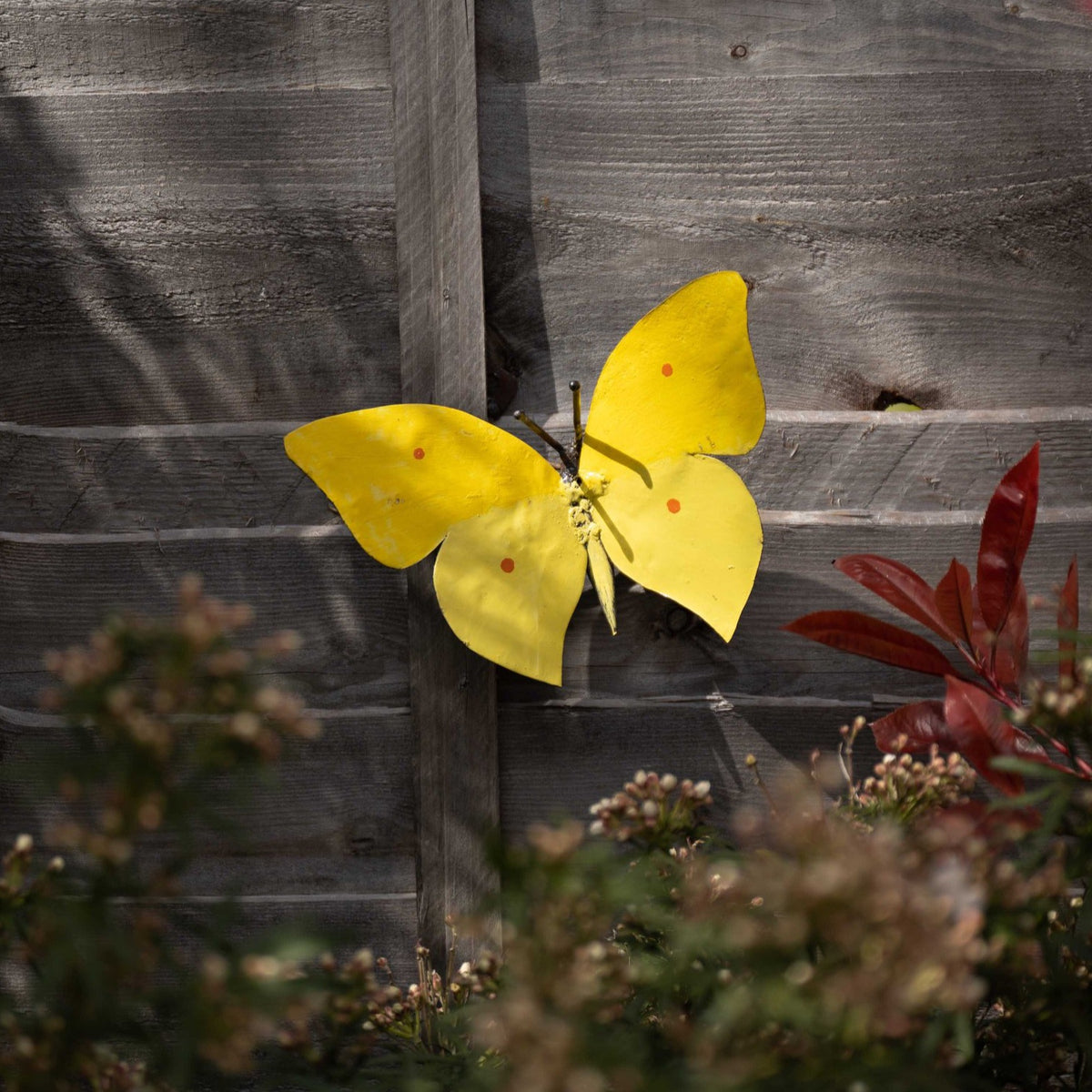 Brimstone Wall Butterfly Sculpture – Lay of the Land ltd