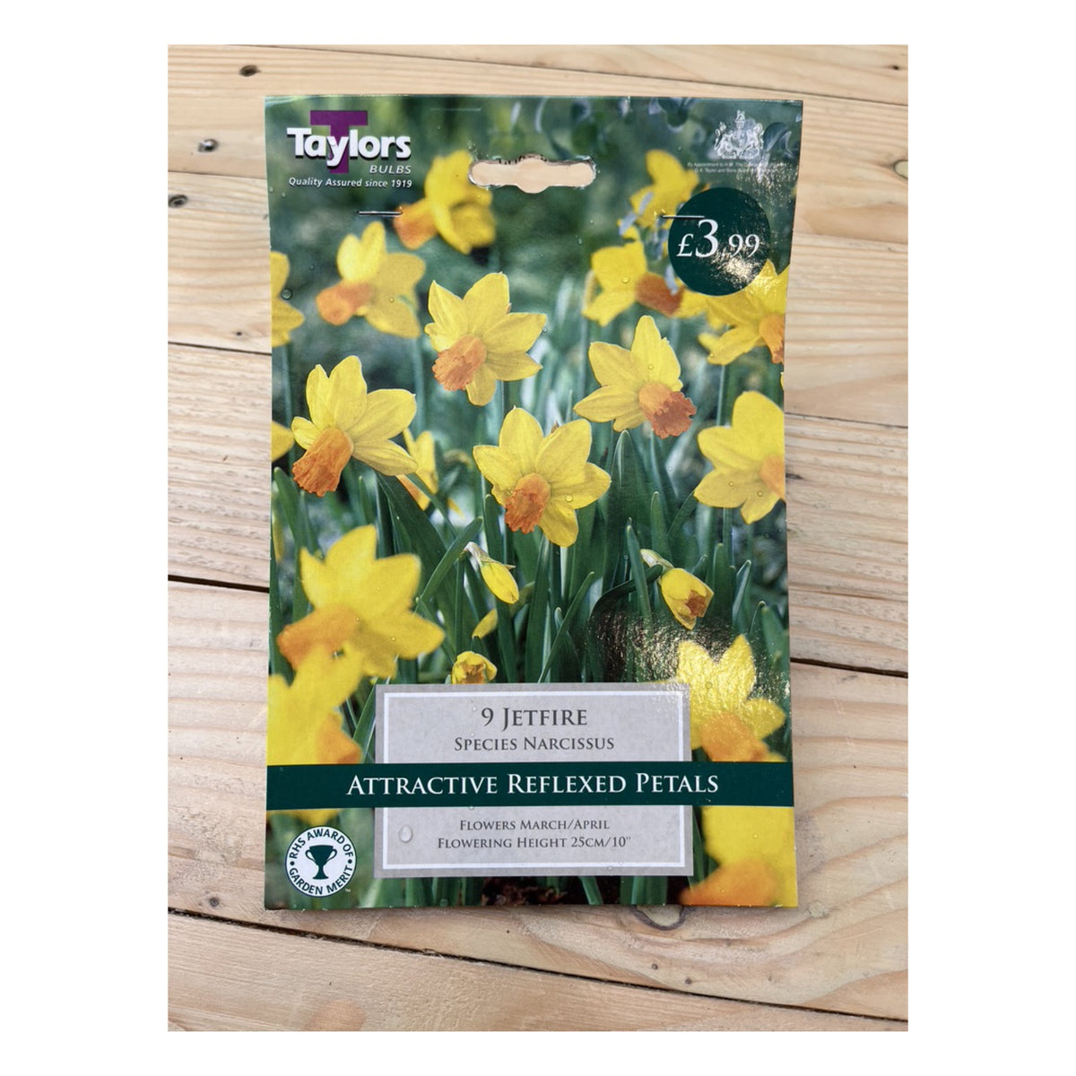Narcissi - Jetfire – Lay of the Land Ltd